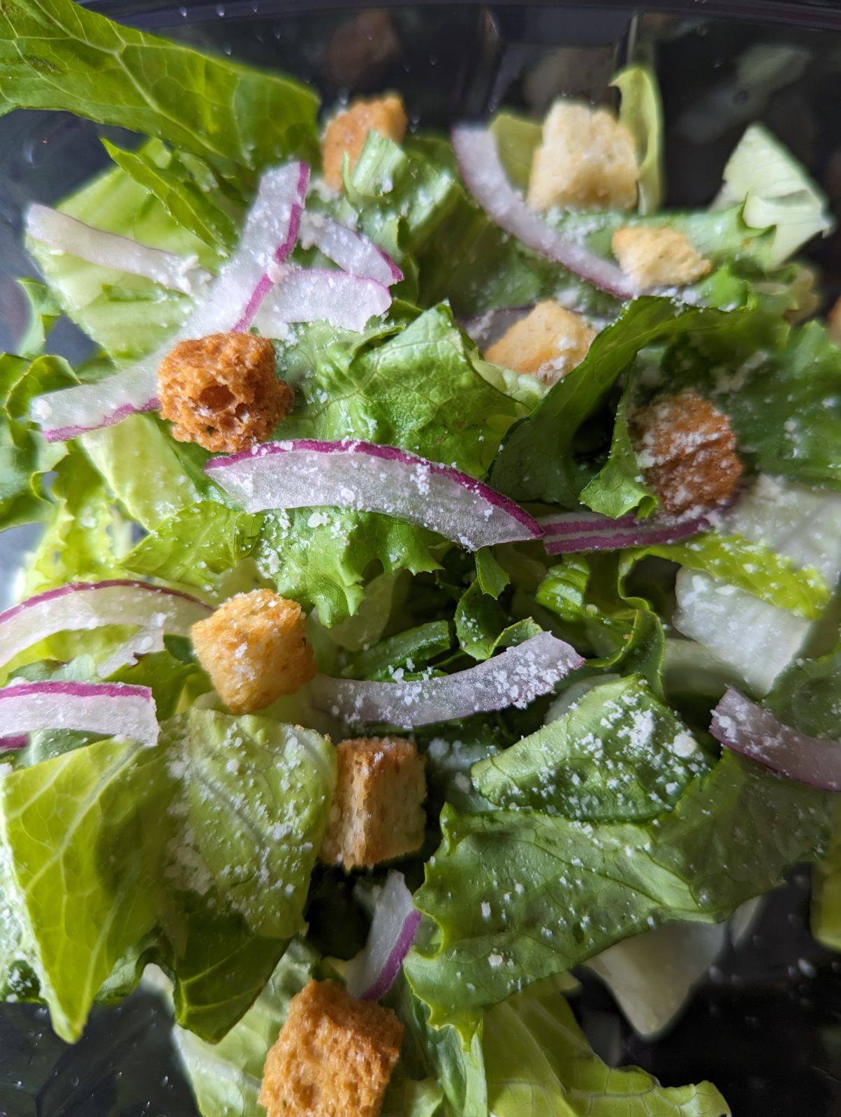 Caesar | River Street Sandwich Makers